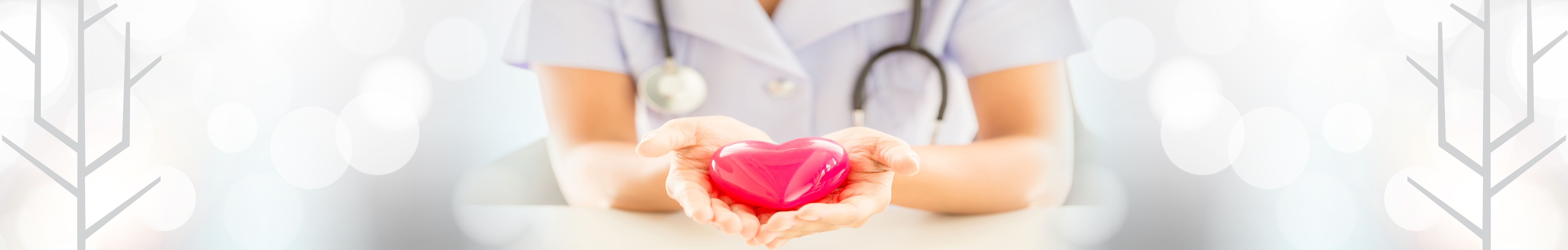 Header Tentang – Aulia Hospital Official